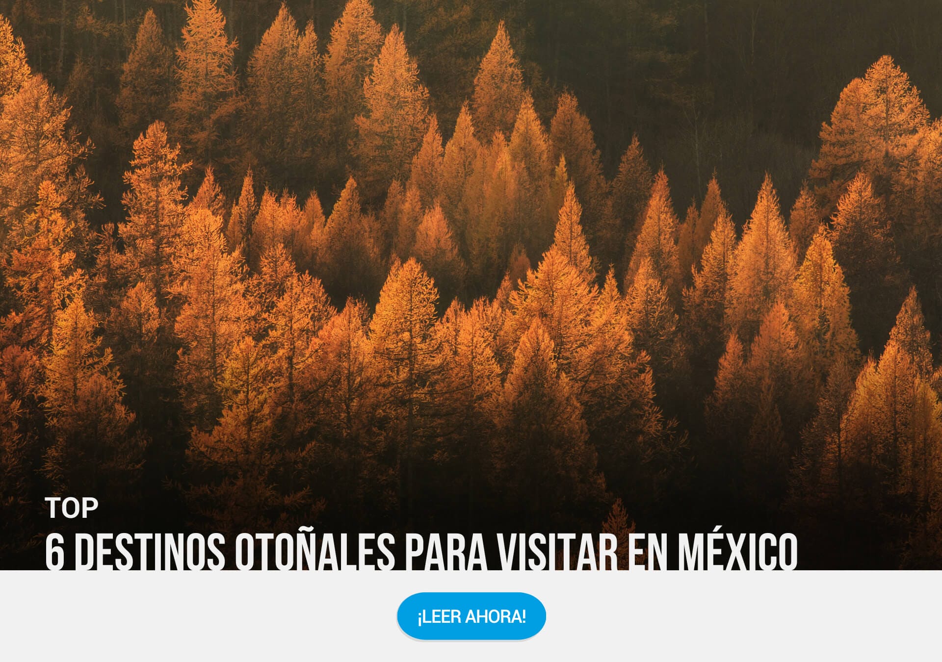 6 destinos otoñales para visitar en México - Vuela a la Vida México